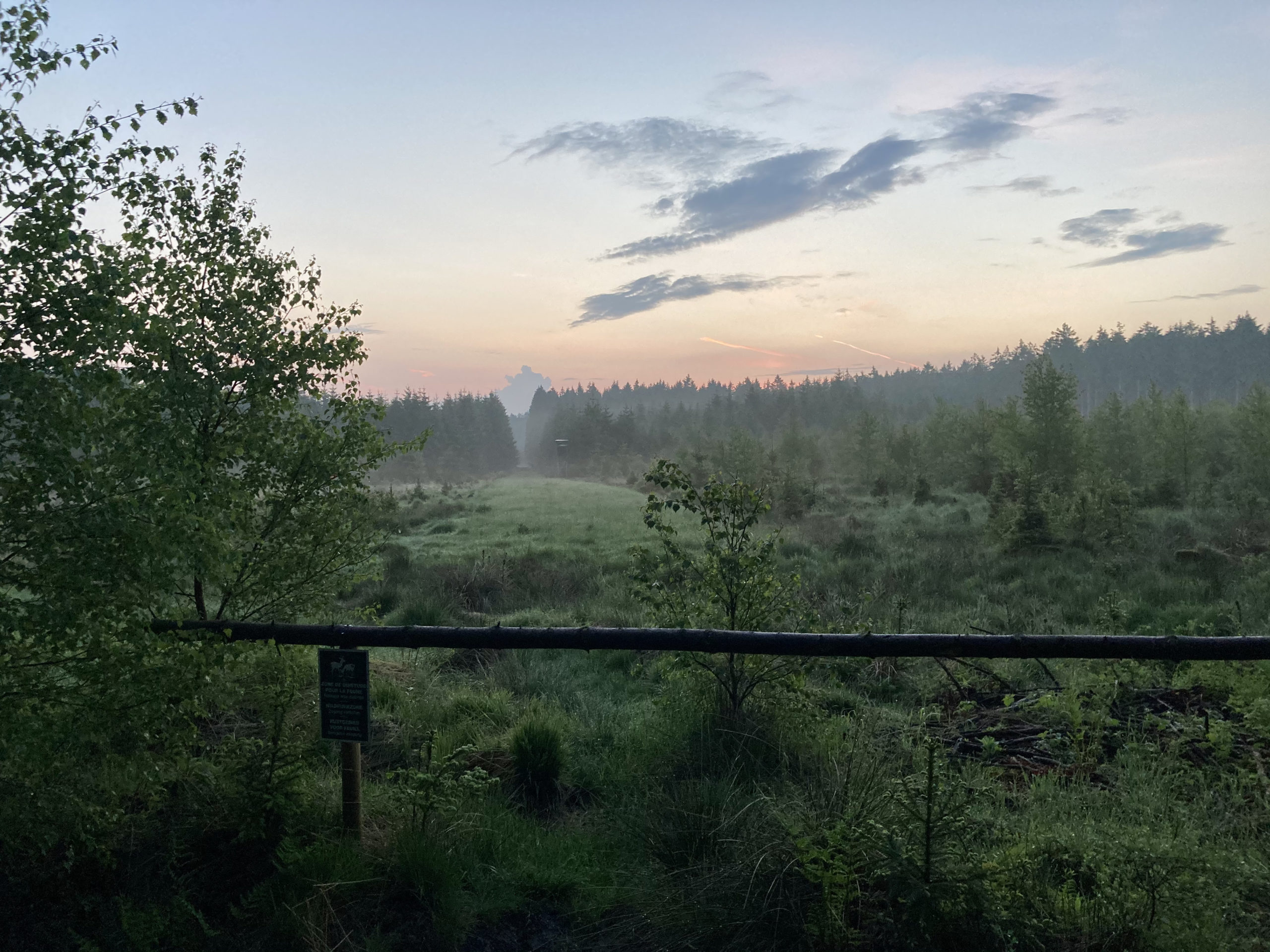 Rivers of Hautes Fagnes | pfadsucher.com
